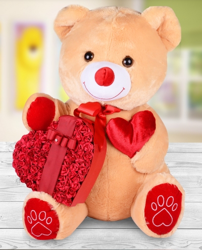 Sevimli Ayıcık | cevizagaci.com