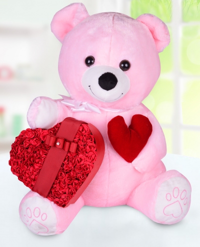 Sevimli Ayıcık | cevizagaci.com